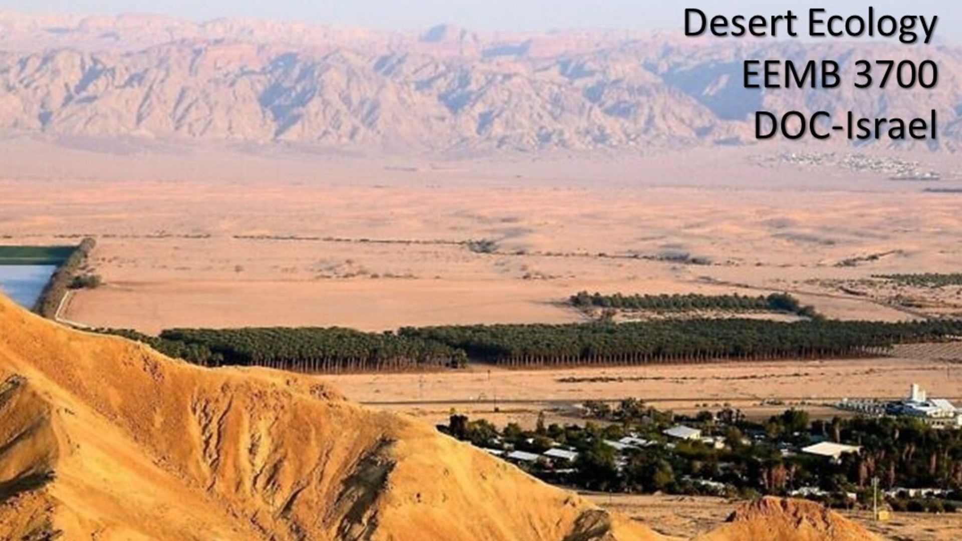 Dialogue Info Session: Sustainable Living in a Harsh Desert Environment ...
